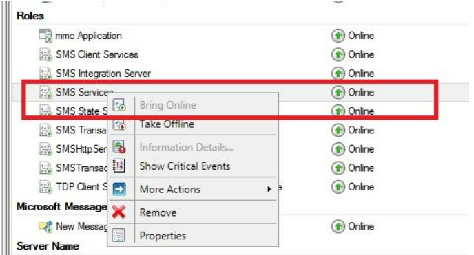 How to Bring MS Cluster Resources Online – AMAG Technology